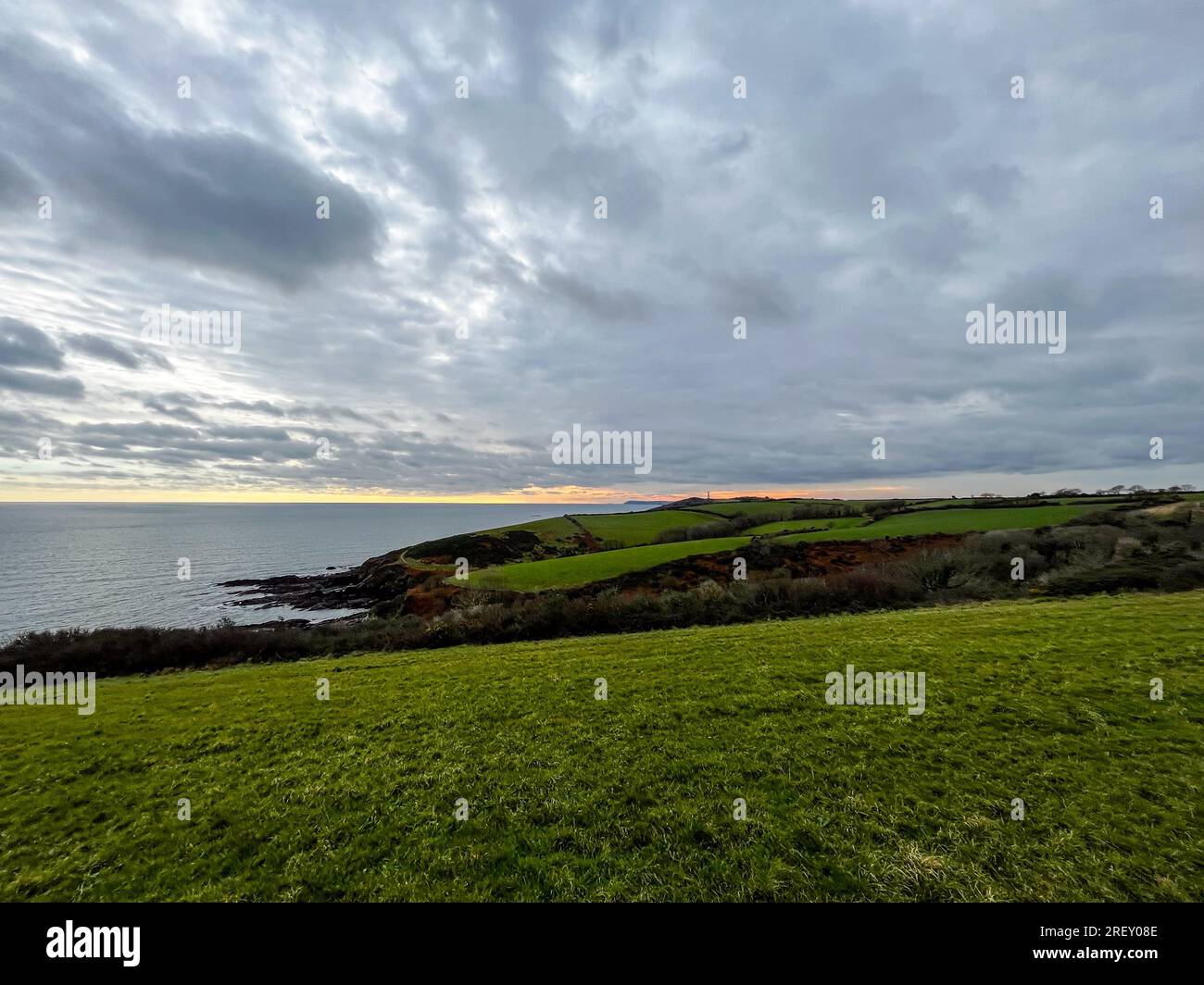Gribben head hi-res stock photography and images - Alamy