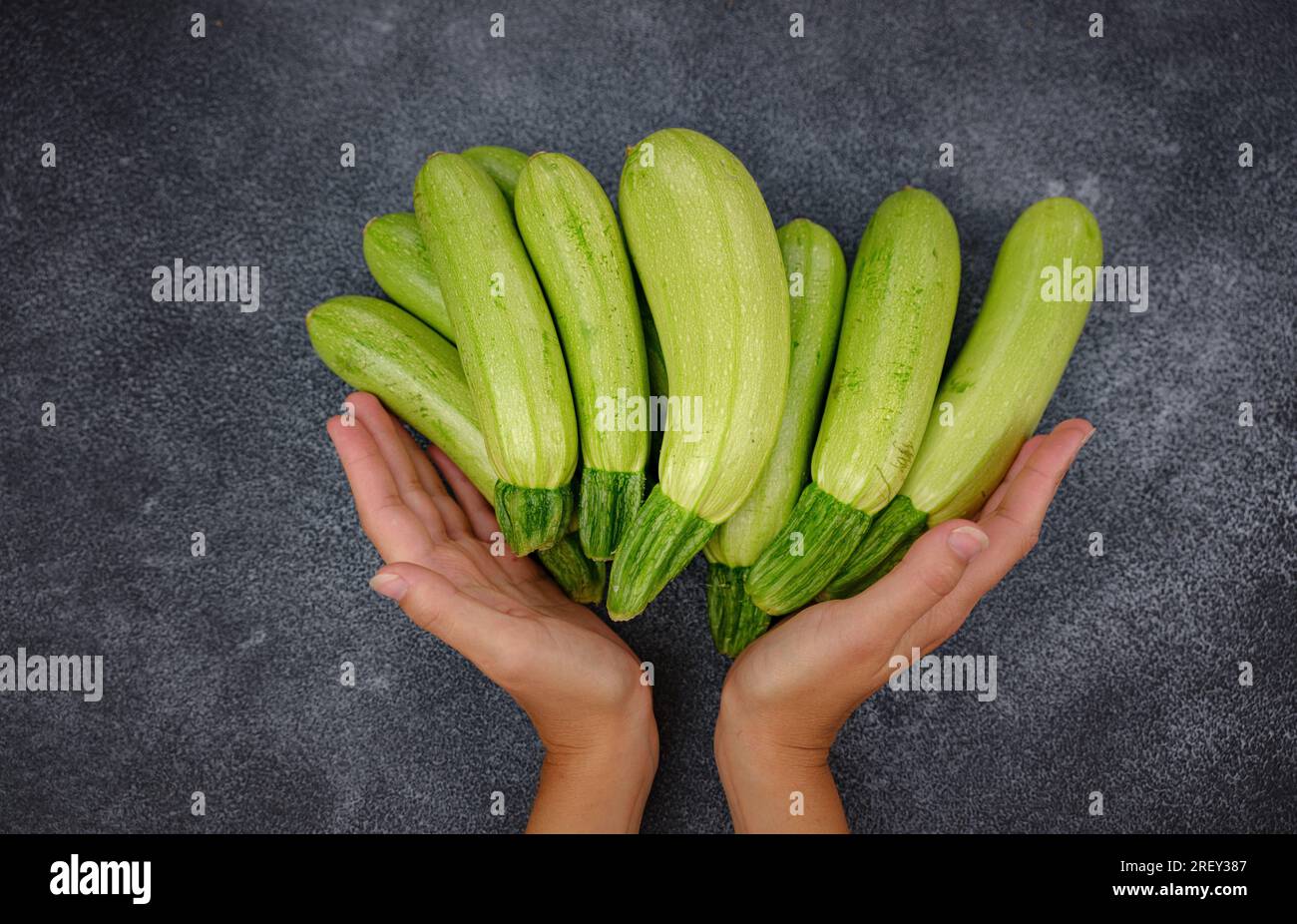 Courgette plant hands hi-res stock photography and images - Alamy