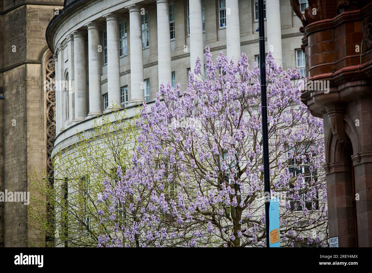 Manchester Central Library in Spring Stock Photo - Alamy
