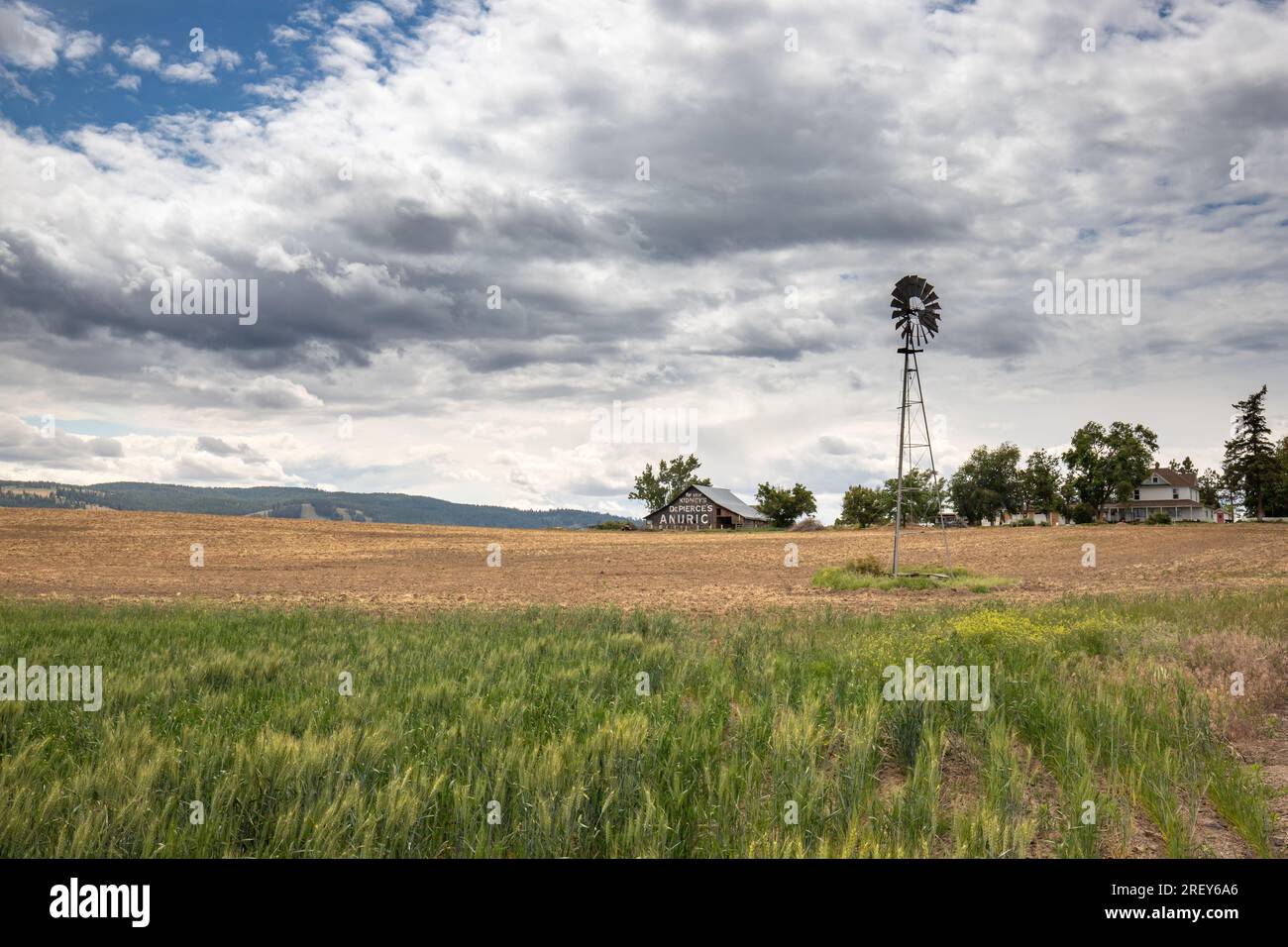 Dr piercces hi-res stock photography and images - Alamy