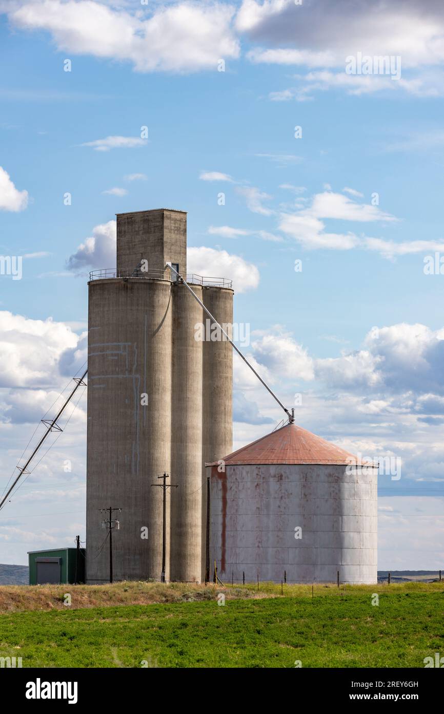 Govan washington hi-res stock photography and images - Alamy