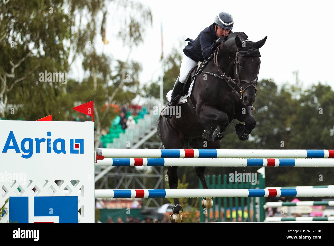Horse vermento hi-res stock photography and images - Alamy