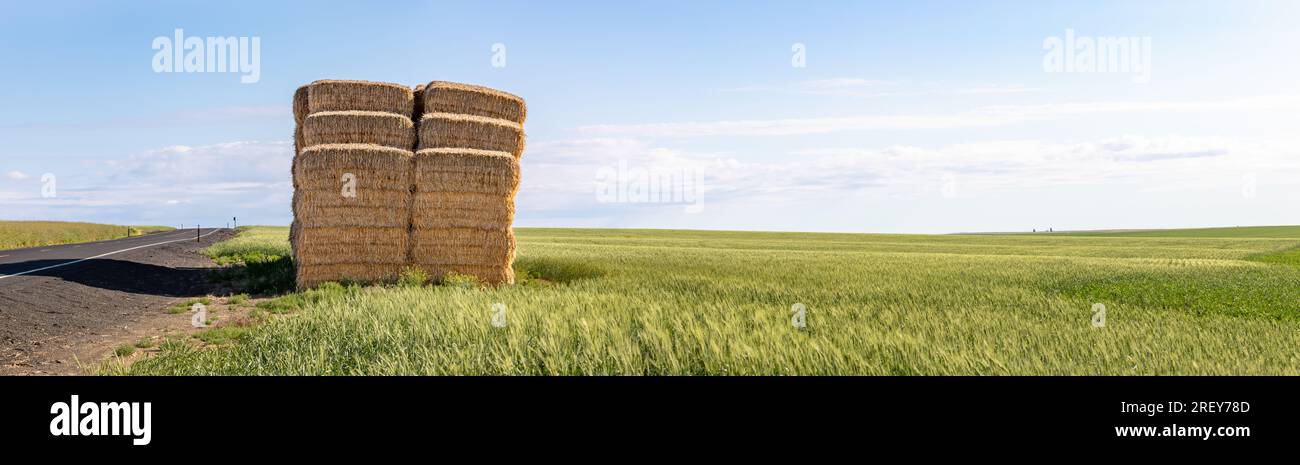 Hay stack, wheat field and road panorama taken in Eastern Washington ...