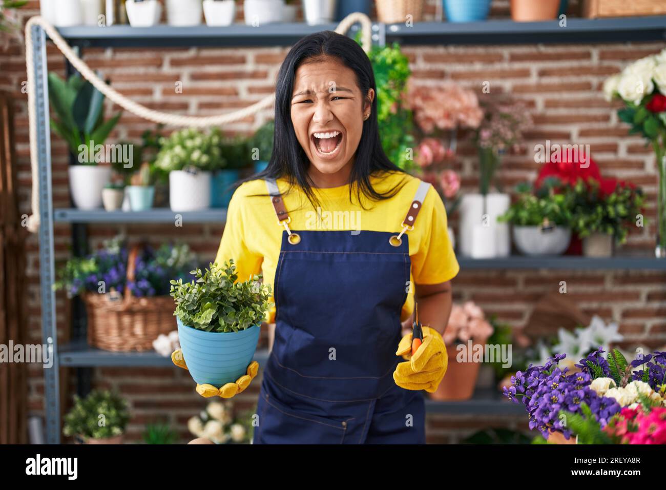 Hispanic woman working at florist shop holding plant angry and mad ...