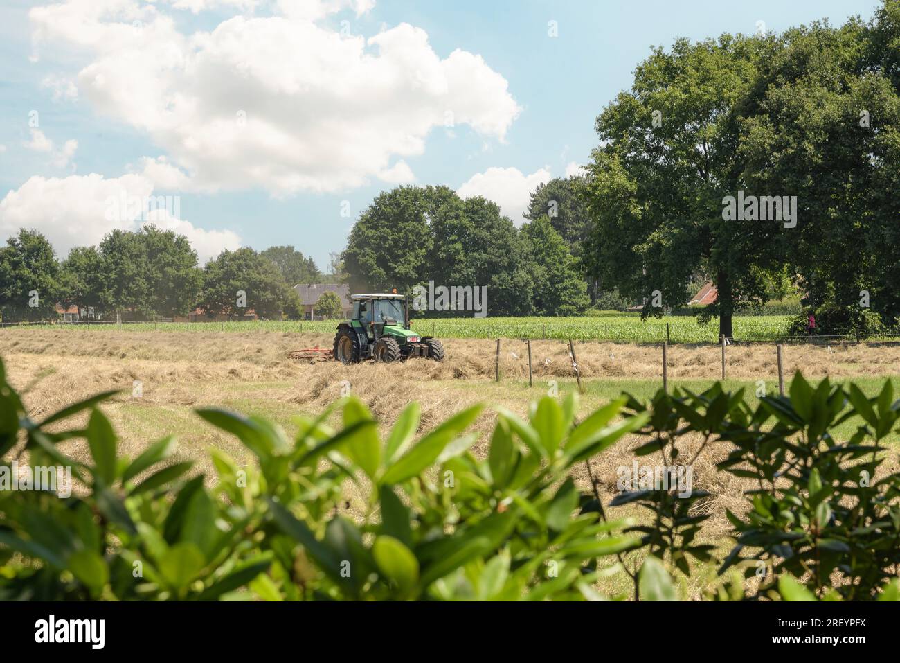 Tractor gathering hay in the field. Summer countryside landscape Stock ...