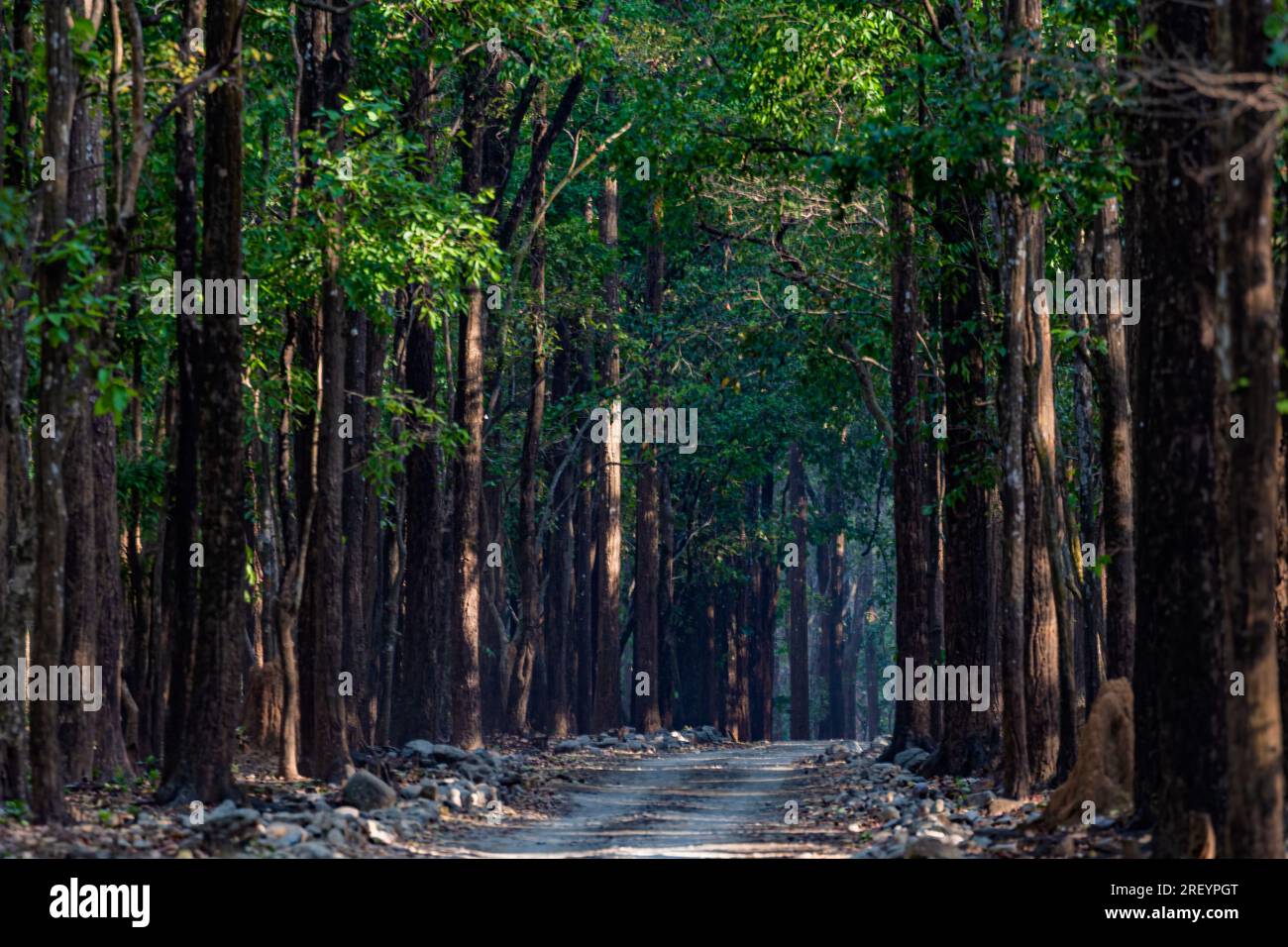 Beautiful land scape grass hi-res stock photography and images - Alamy