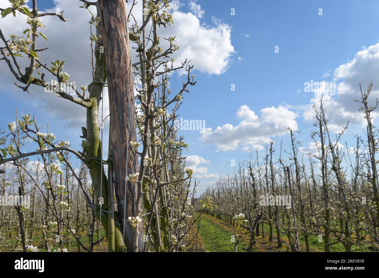 Wind resistance hi-res stock photography and images - Alamy