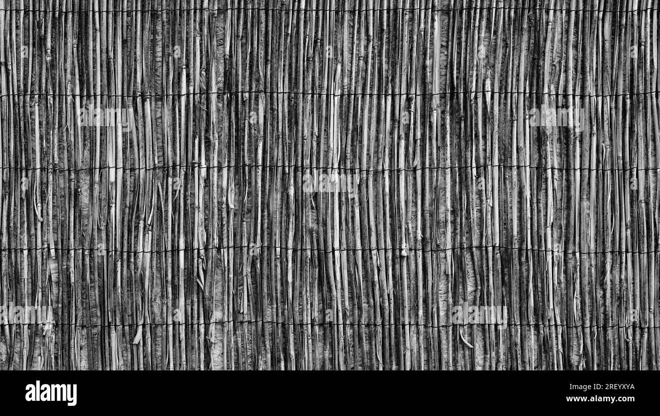 Thatch texture Black and White Stock Photos & Images - Alamy