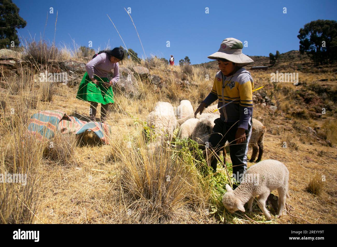 Llachon, Peru; 1st January 2023: Local people from the Llachón ...