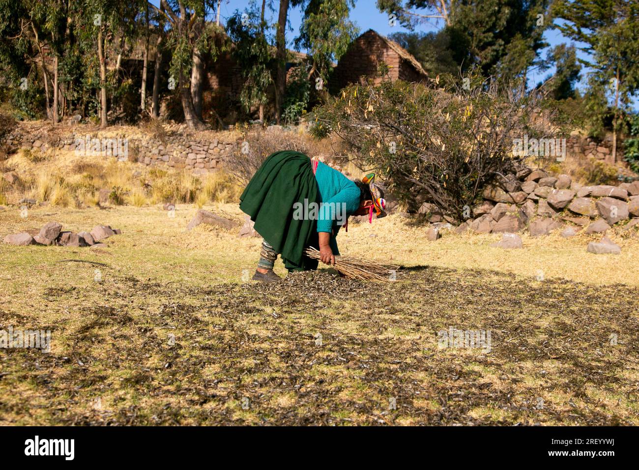 Llachon, Peru; 1st January 2023: Indigenous woman from the Llachón ...