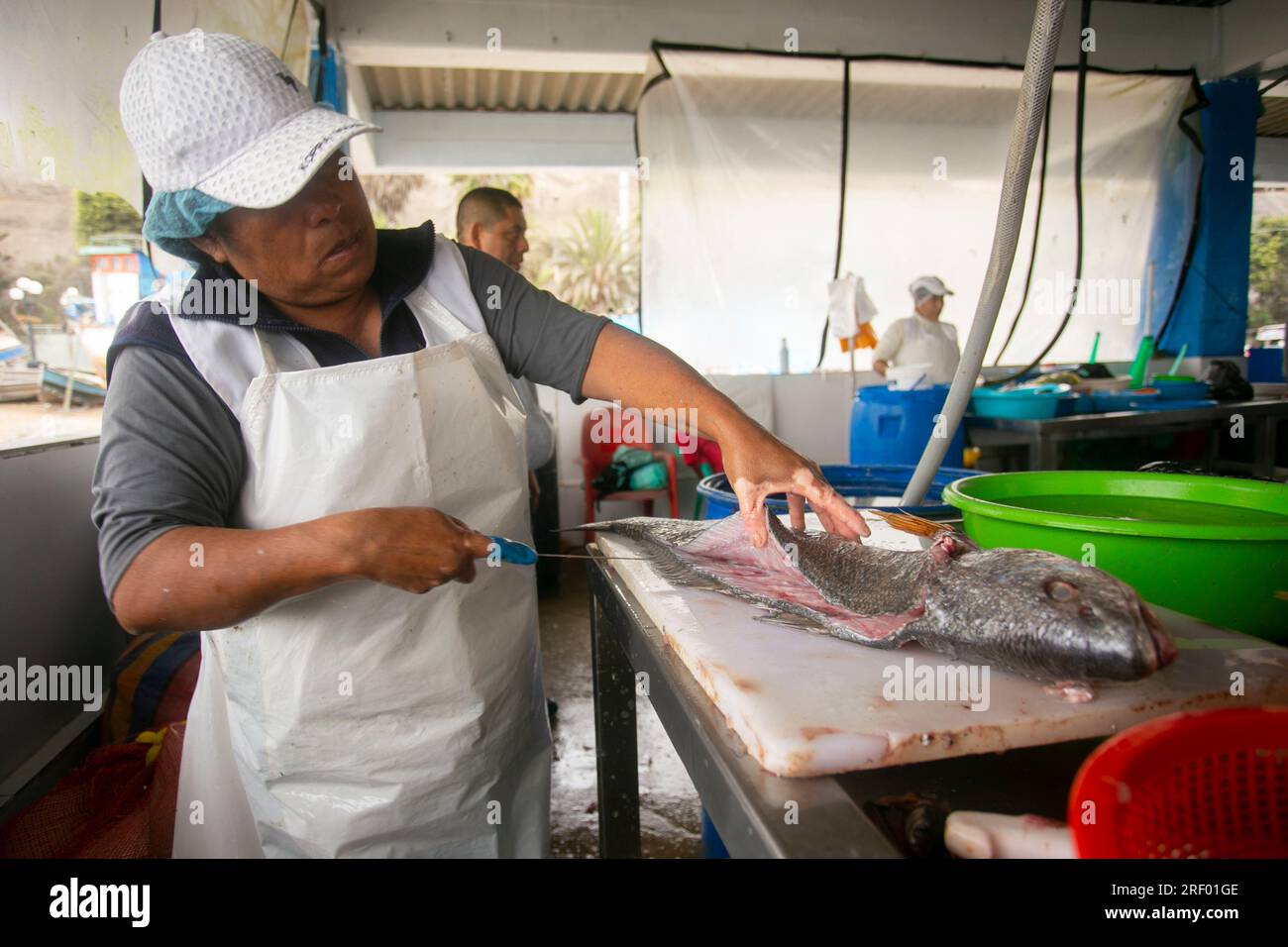 Lima, Peru; 1st January 2023: Woman cleaning fish in the port of ...