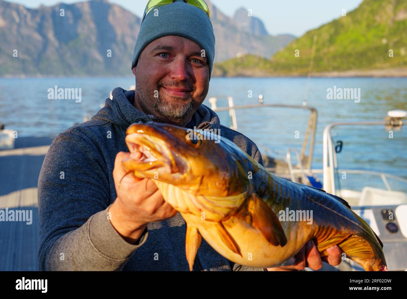 Fisherman with big cod fish. Norwegian fisherman has caught large Cod ...
