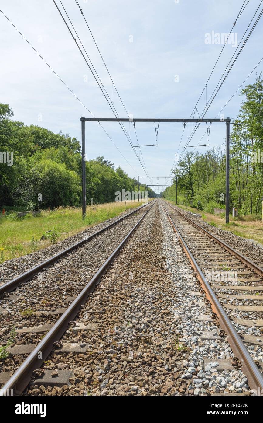 out of sity railway tracks electric wires blue sky perspective ...