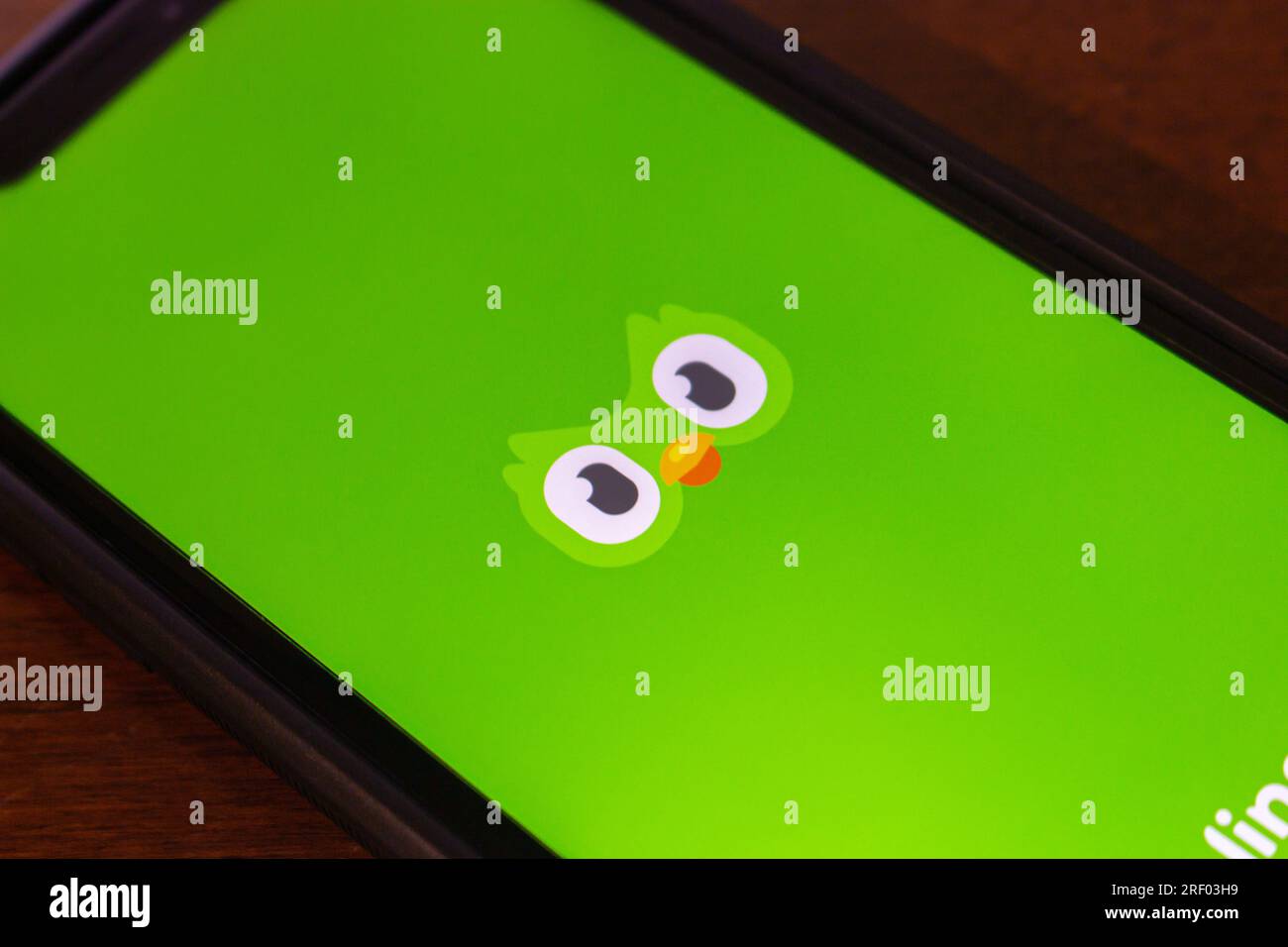 Duolingo logo hi-res stock photography and images - Alamy