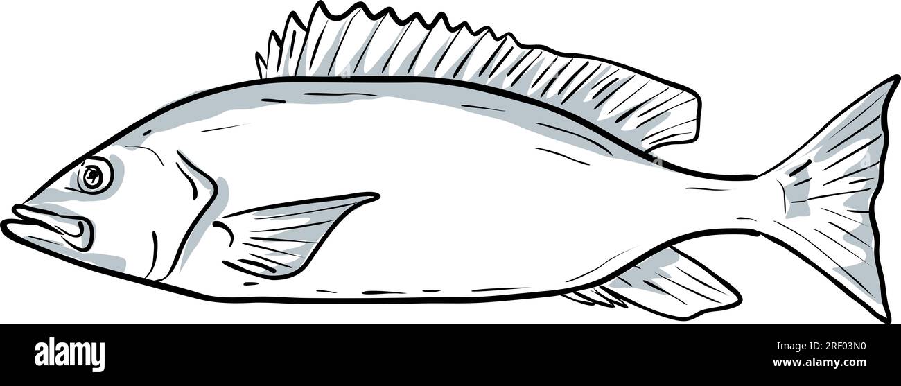 Cartoon style drawing sketch illustration of a silk snapper or Lutjanus ...