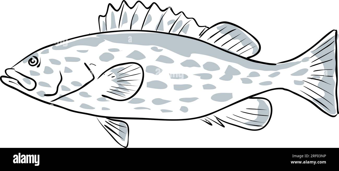 Cartoon style drawing sketch illustration of a yellowfin grouper or ...