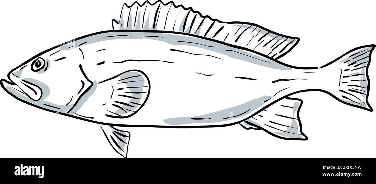 Cartoon style drawing sketch illustration of a yellowmouth grouper or ...