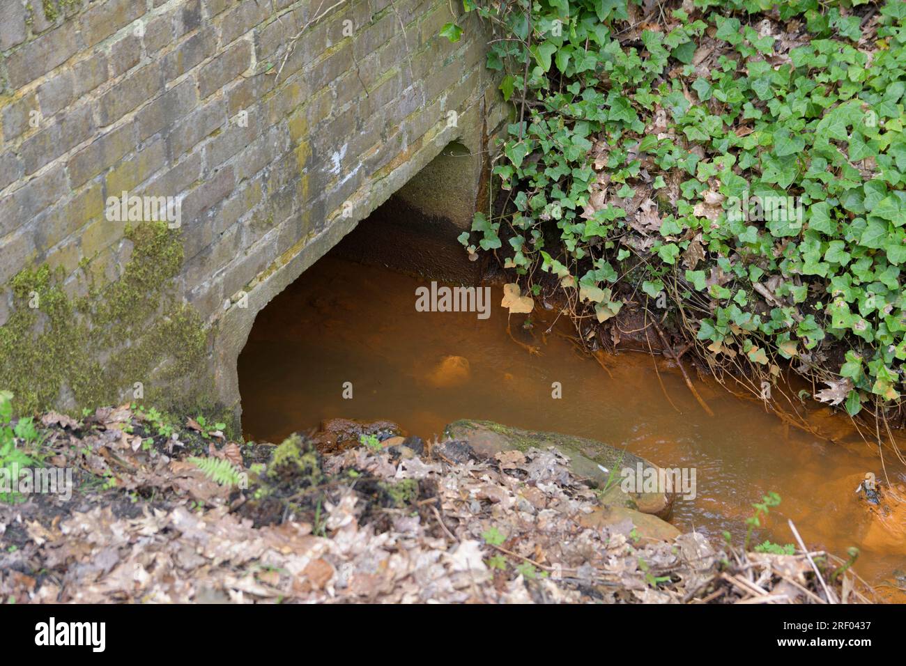 Rusty dirty water in a ditch for water in a forest area. Environmental ...