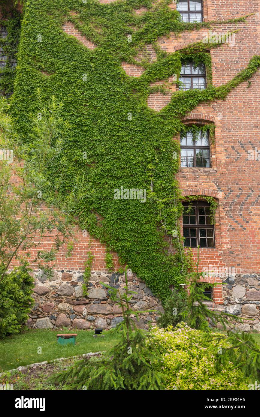 Gniew Castle is a former castle of the Teutonic Knights Order, built in ...