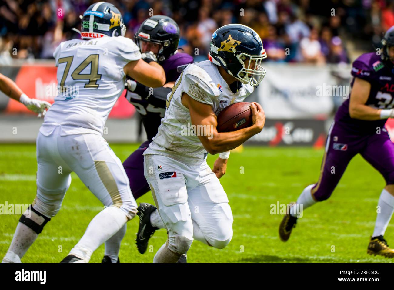 European League of Football, ELF/ Game : Fehervar Enthroners at ...