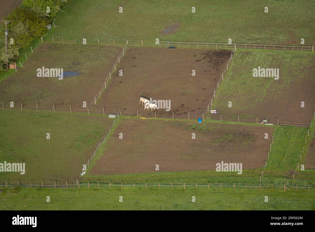 Aerial view of horse paddocks in the countryside in Kent, UK Stock ...