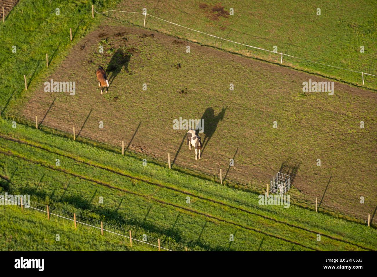 Aerial view of horse paddocks in the countryside in Kent, UK Stock ...