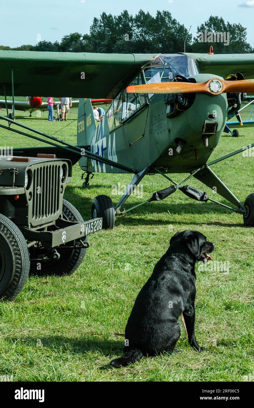 Wartime Piper Cub plane with US Willys Jeep & dog. Willys MB wartime ...