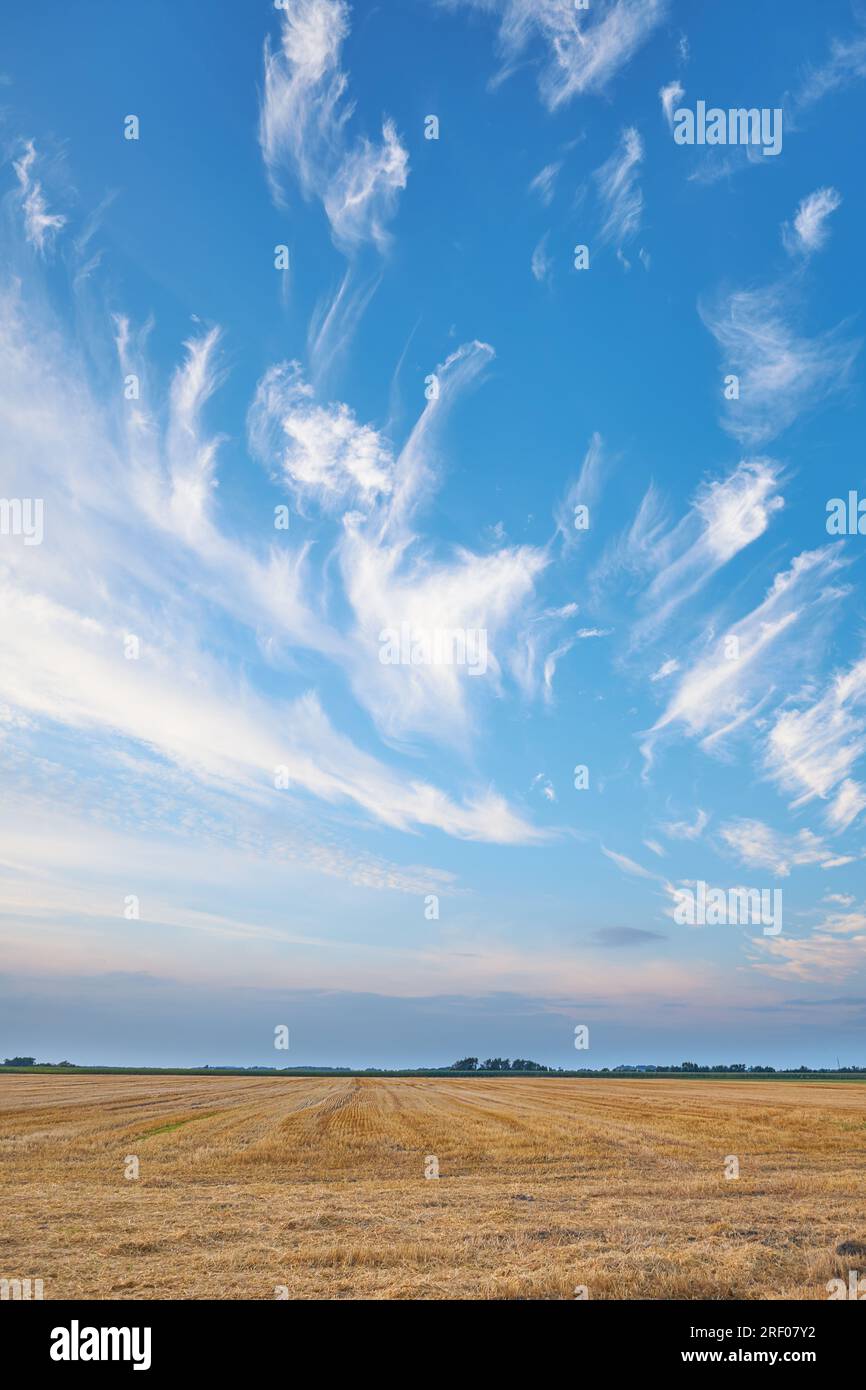 Denmark nature, countryside and environment. Nature in the Kingdom of ...