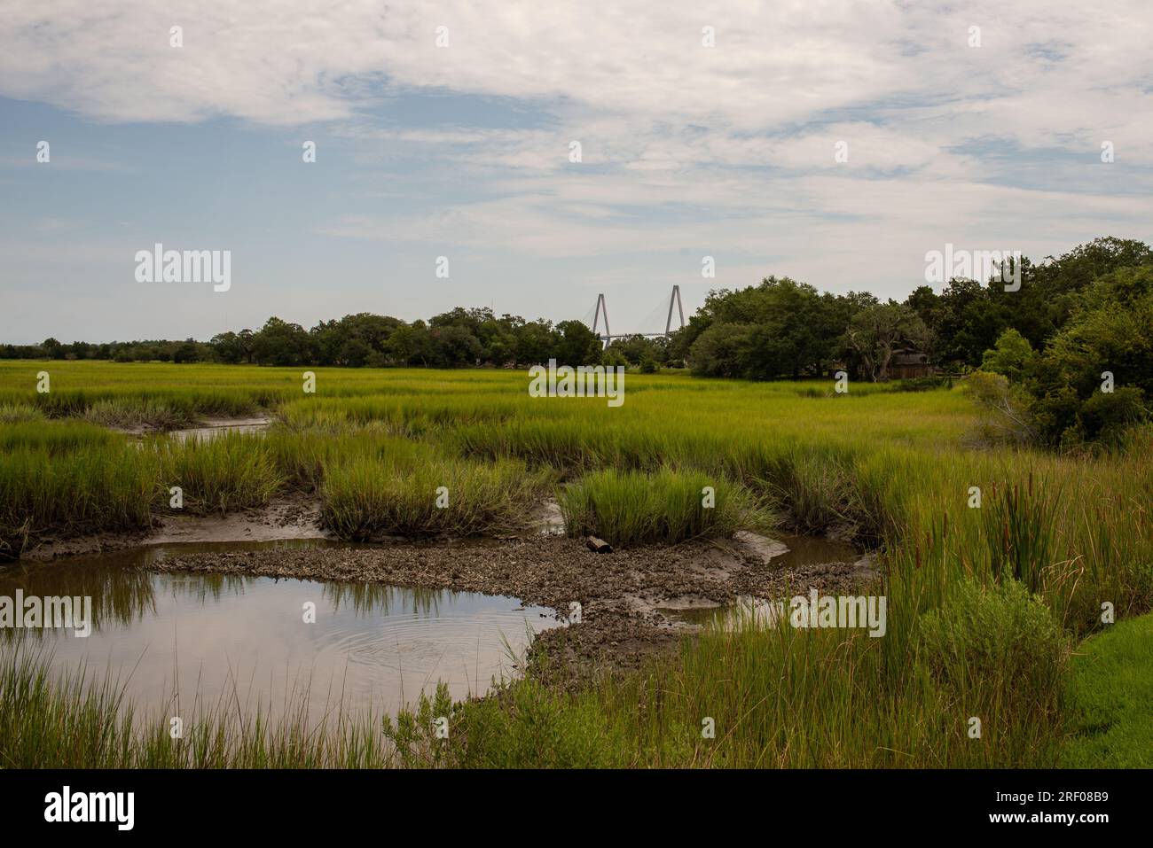 Marshlands in Charleston, South Carolina Stock Photo - Alamy