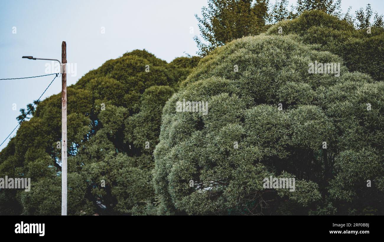 Visitestonia hi-res stock photography and images - Alamy