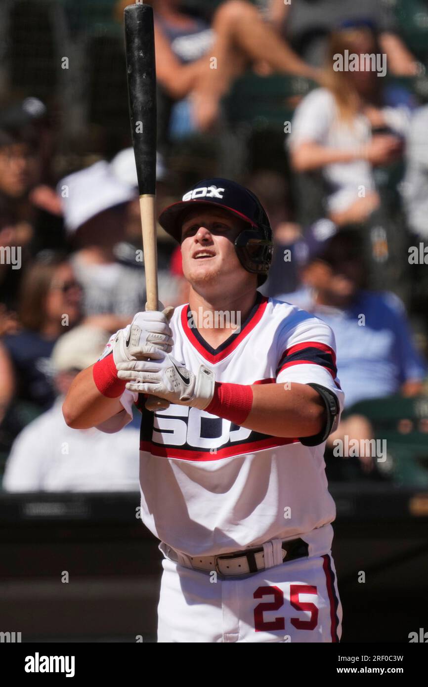 Chicago White Sox's Andrew Vaughn checks his bat during the ninth ...