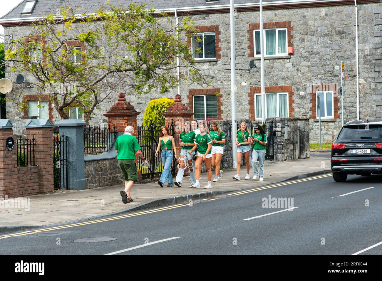 Irish football fans cheering hi-res stock photography and images - Alamy