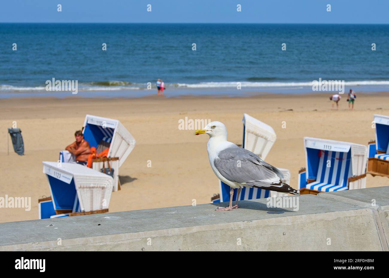 Tourists on the beach on June 24, 2023 in Westerland, Sylt Island ...