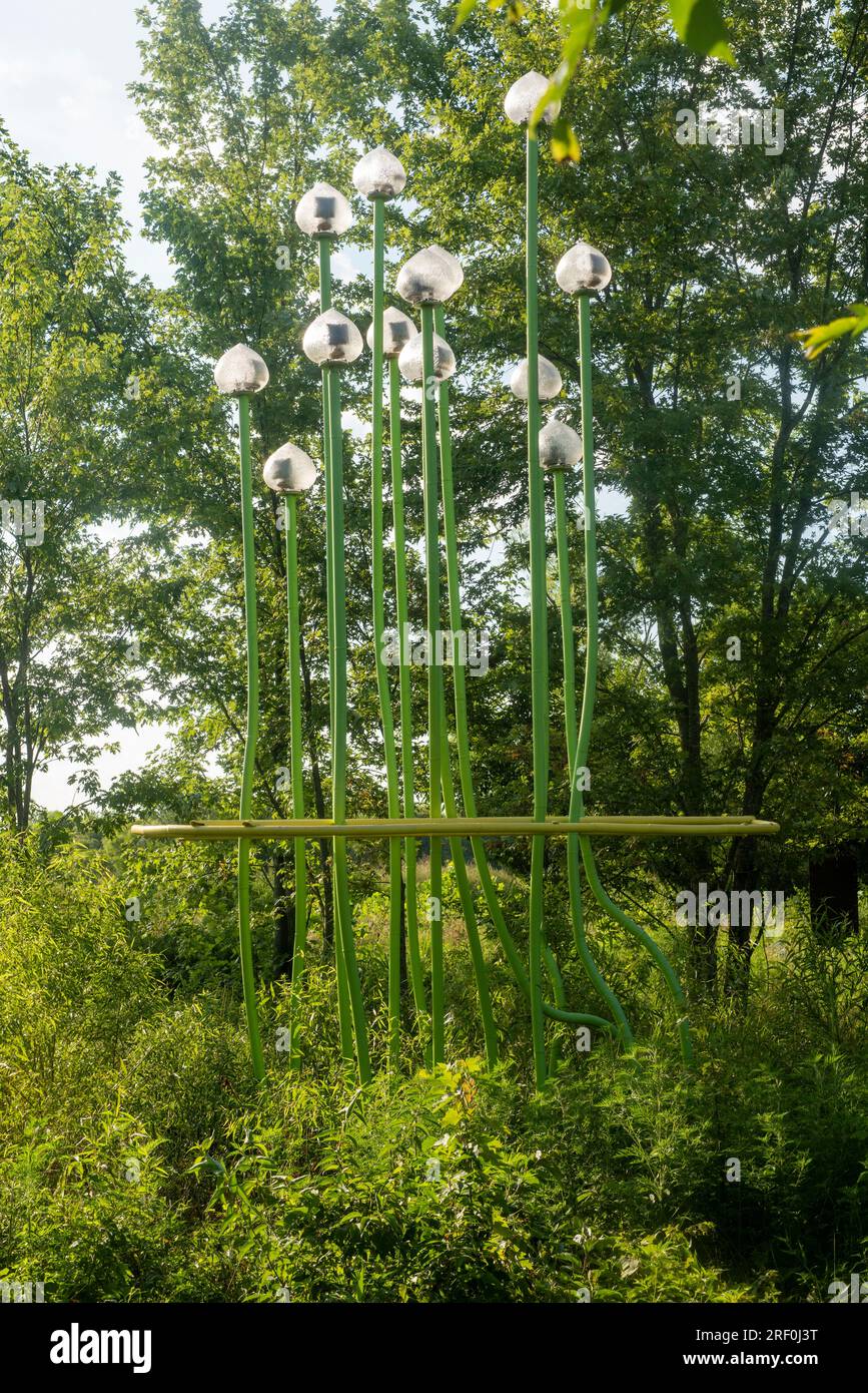 Public Artwork in Osage Park by Asia Ward, Tall Grass, 2021. Osage Park ...