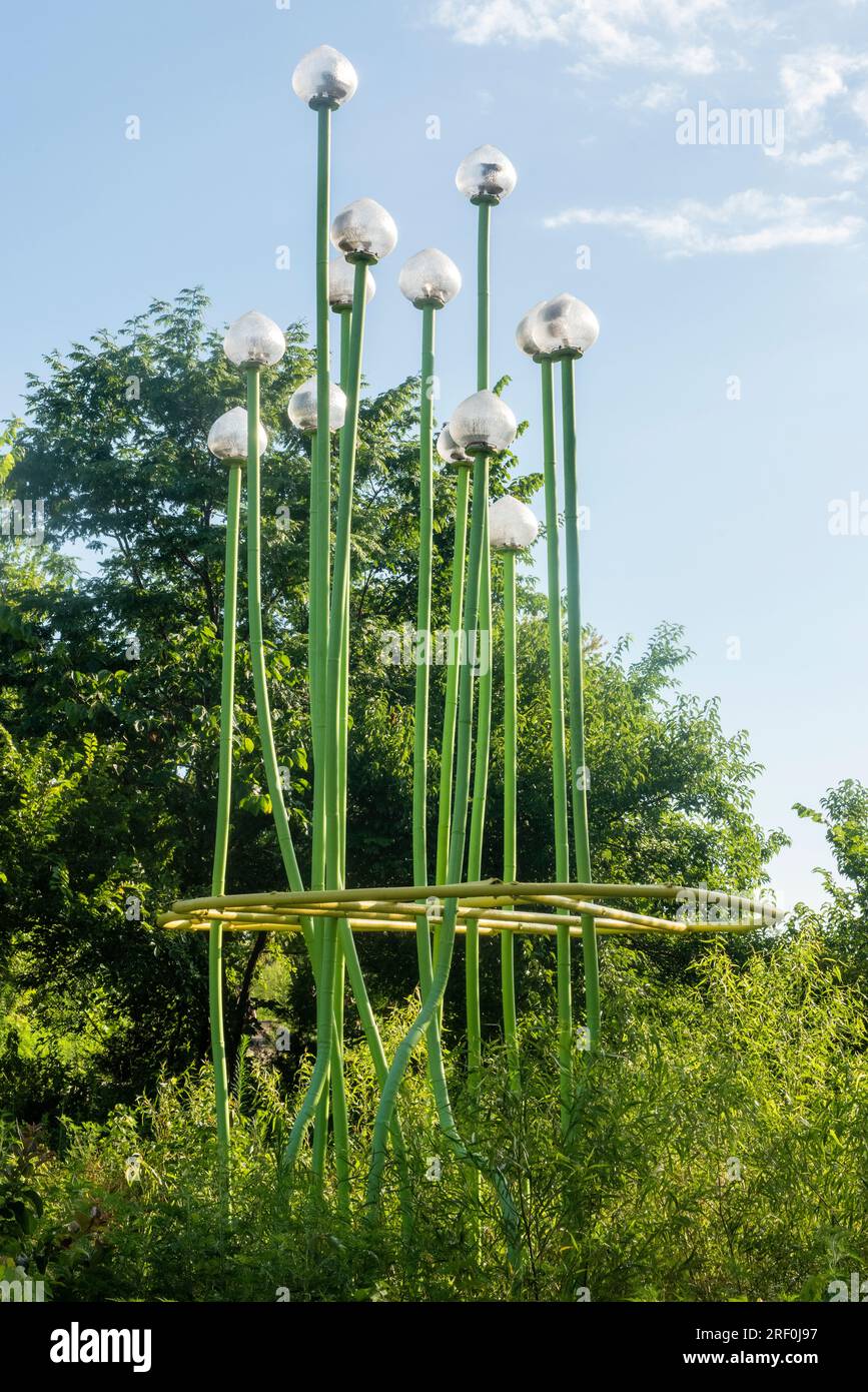 Public Artwork in Osage Park by Asia Ward, Tall Grass, 2021. Osage Park ...