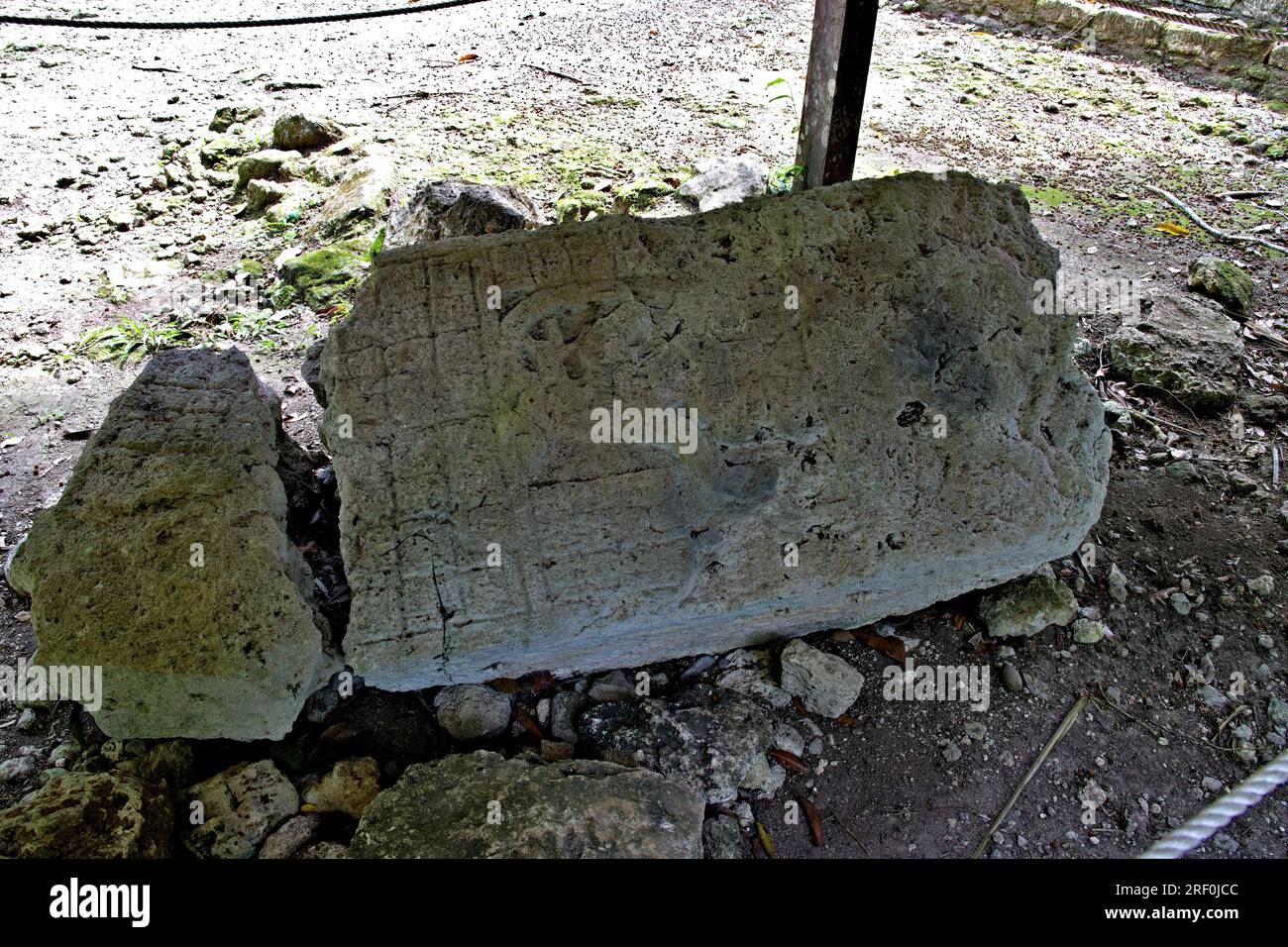 Mayan scripture hi-res stock photography and images - Alamy