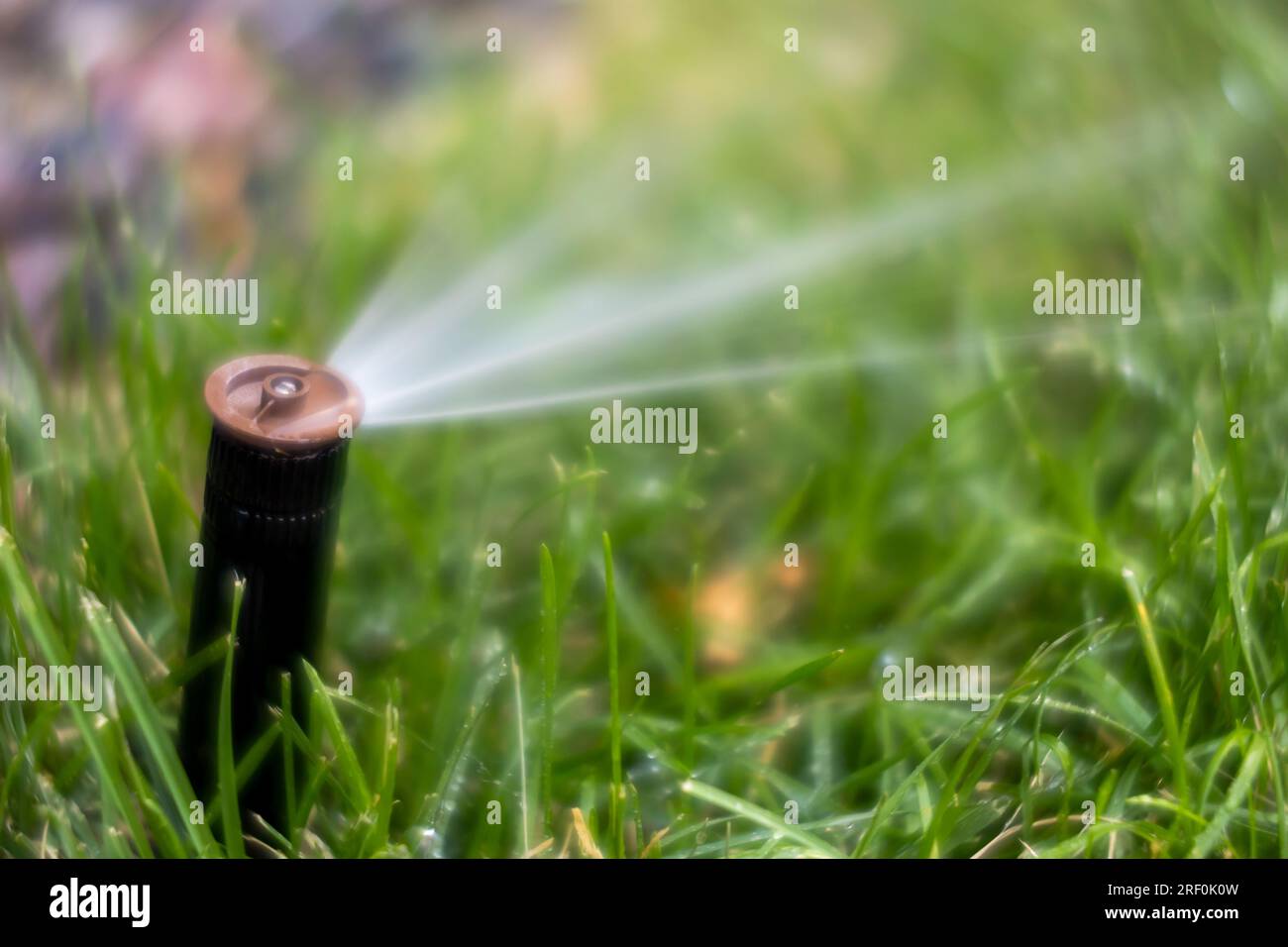 Sprinkler head in ground hi-res stock photography and images - Alamy