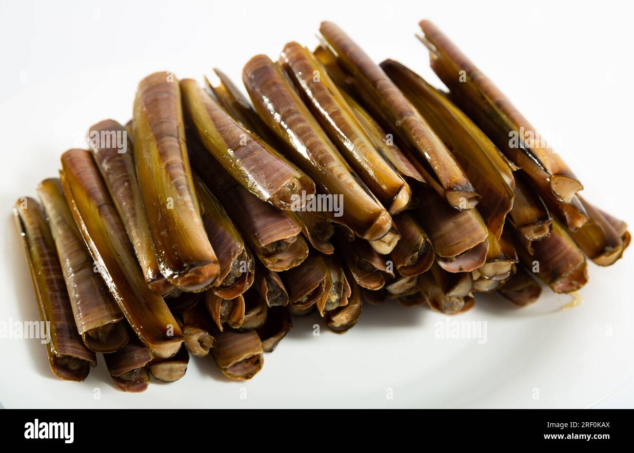 Jackknife clams hi-res stock photography and images - Alamy