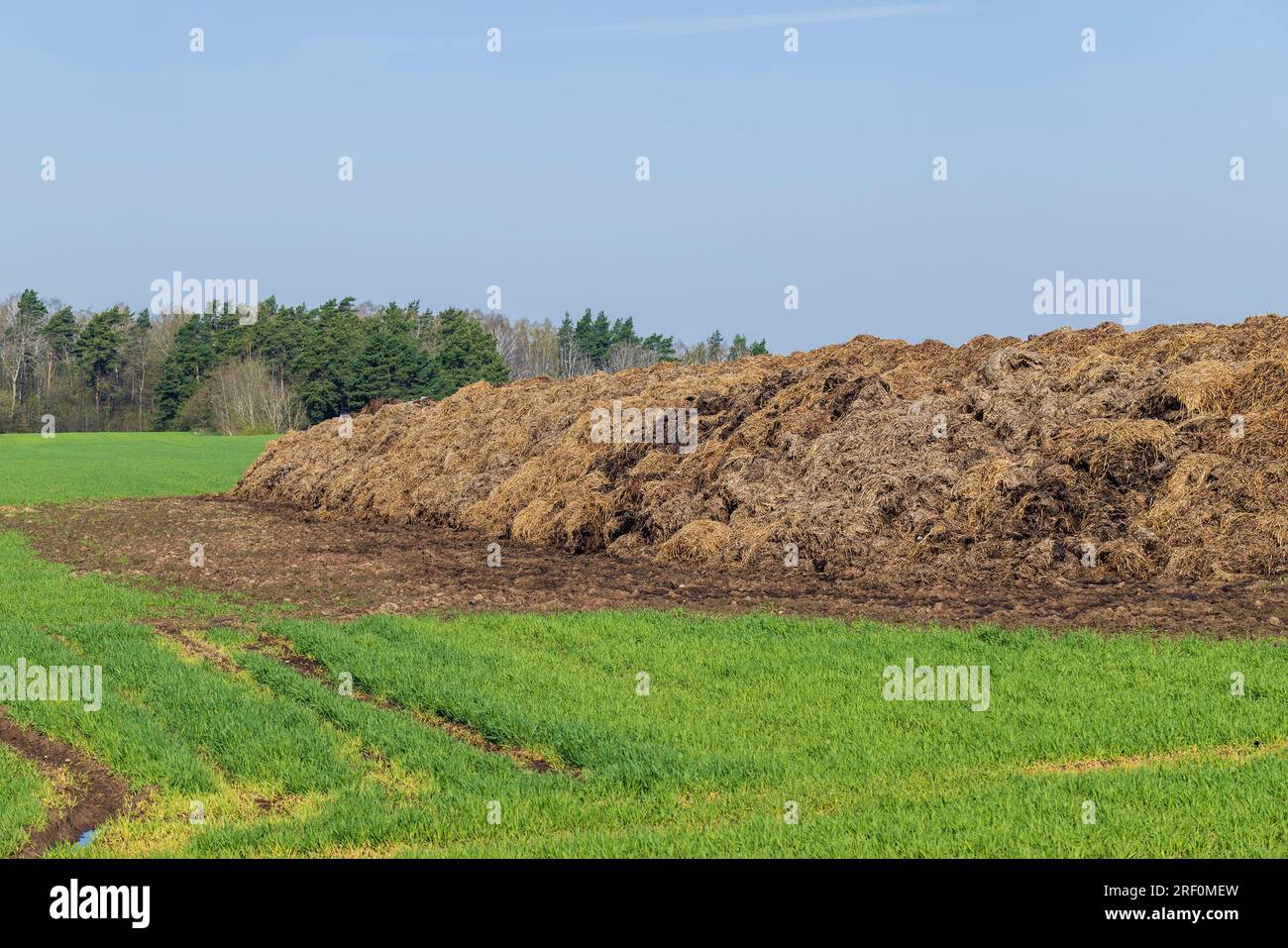 a large amount of manure used as a natural fertilizer in agriculture ...
