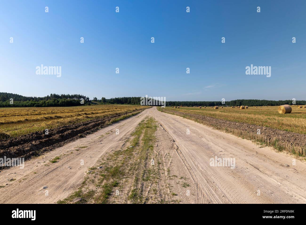 Rural road for cars and transport, ruts and traces of cars on a sandy ...