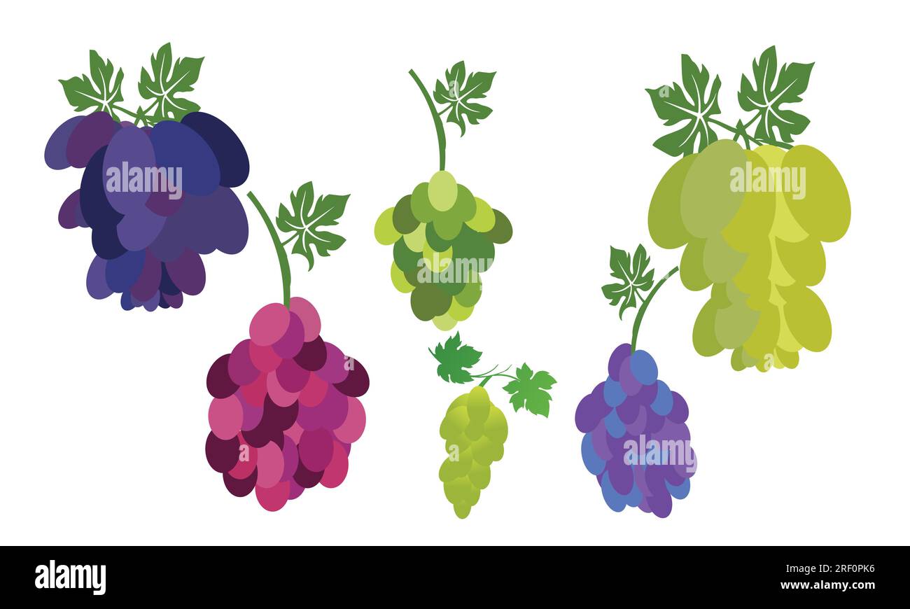 Grocery vector vectors hi-res stock photography and images - Alamy