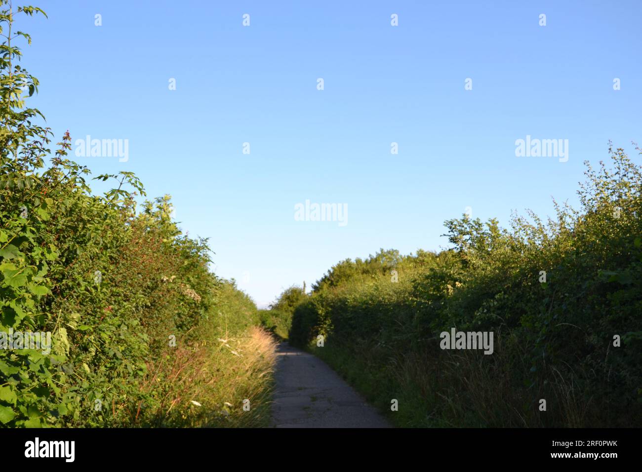 A narrow track leading to the North Downs Way, Knockholt Pound, passing ...
