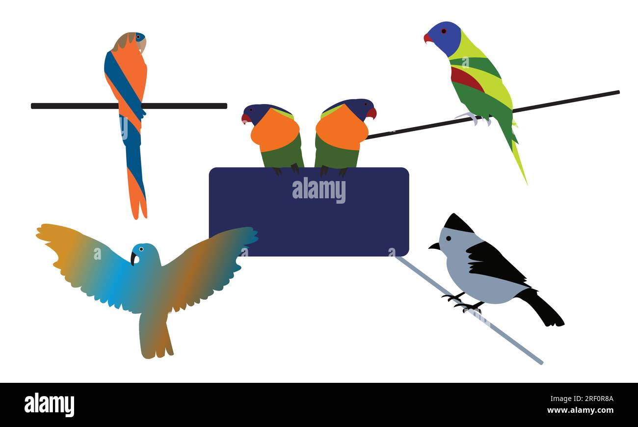 Birds Vector Collection Stock Vector Image & Art - Alamy Birds Vector Collection Stock Vector Image & Art - Alamy