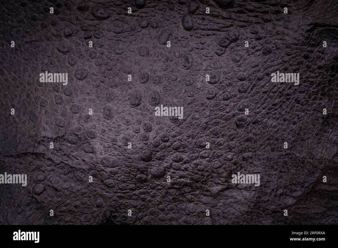 Black leather texture background stock hi-res stock photography and ...