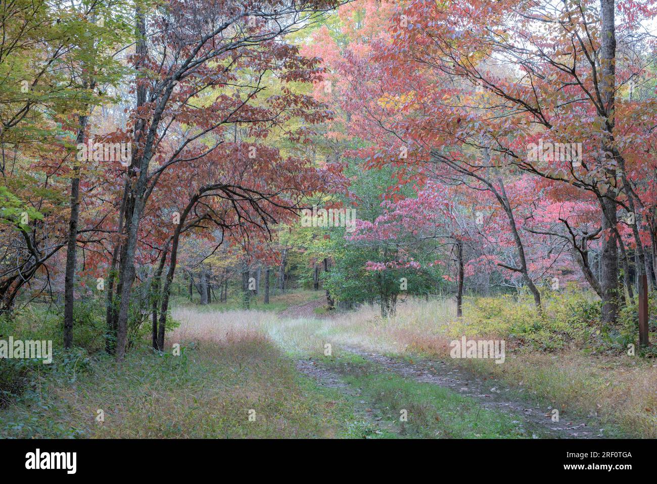 The Long Point Trail, New River Gorge National Park, West Virginia ...