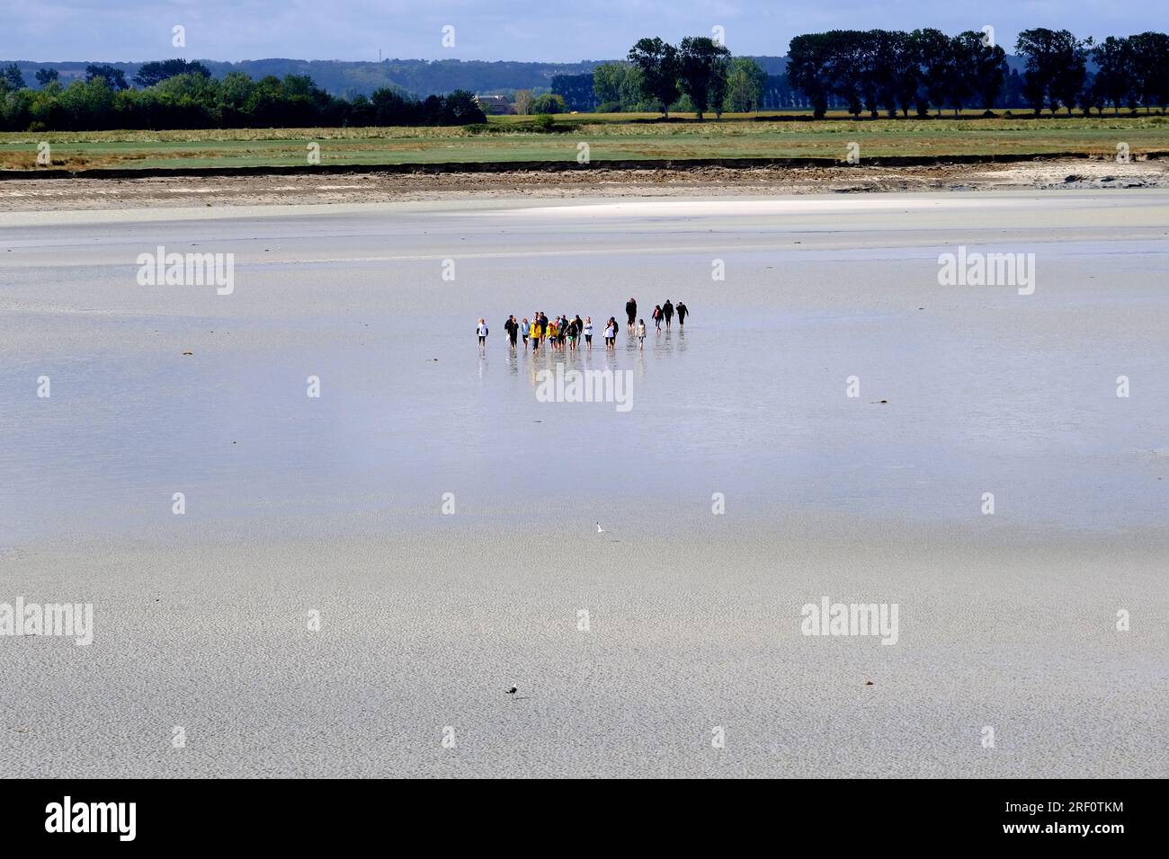People wading shallows water mont saint michel mont saint michel hi-res ...
