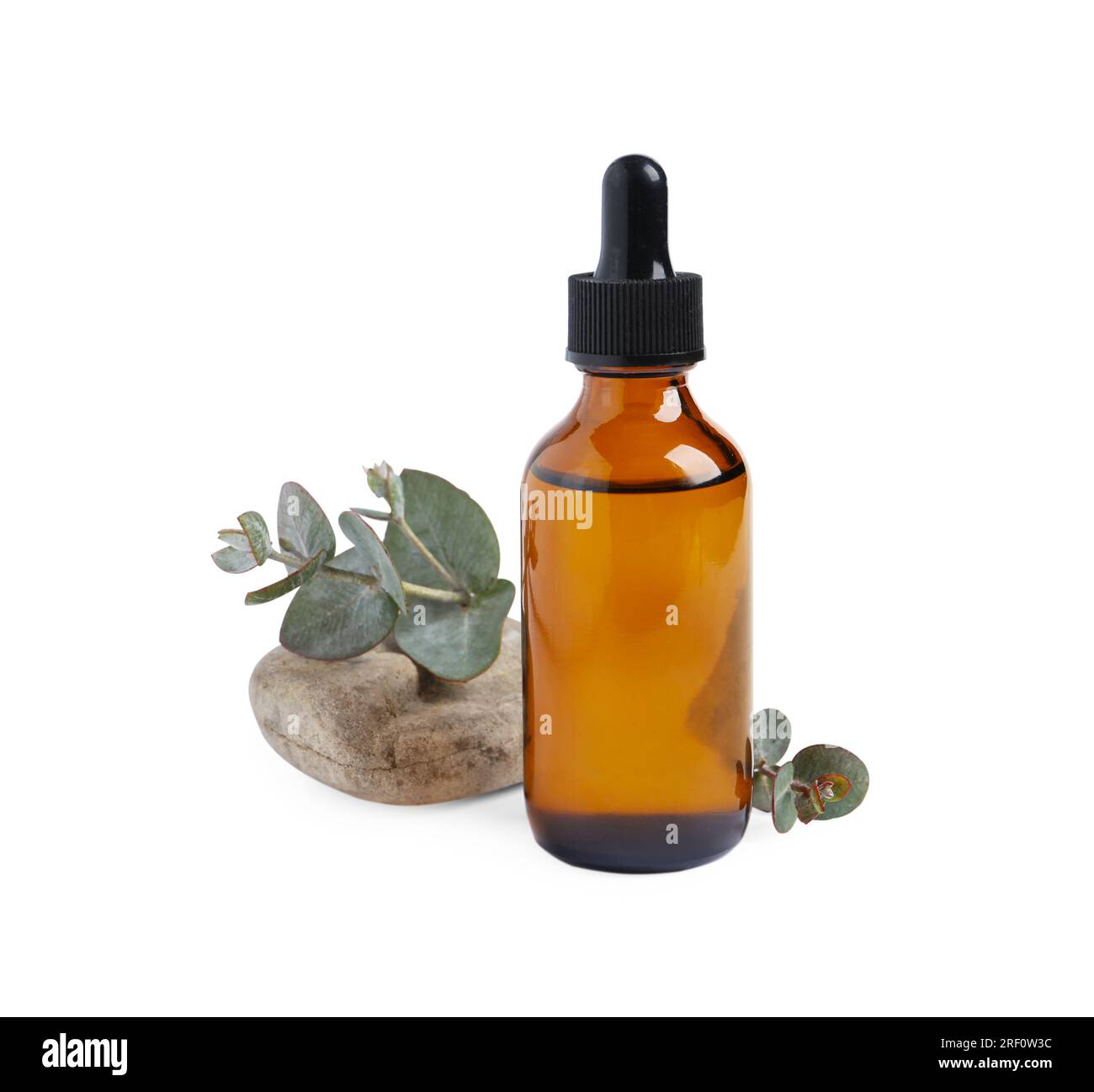 Bottle of eucalyptus essential oil, stone and plant branch on white ...