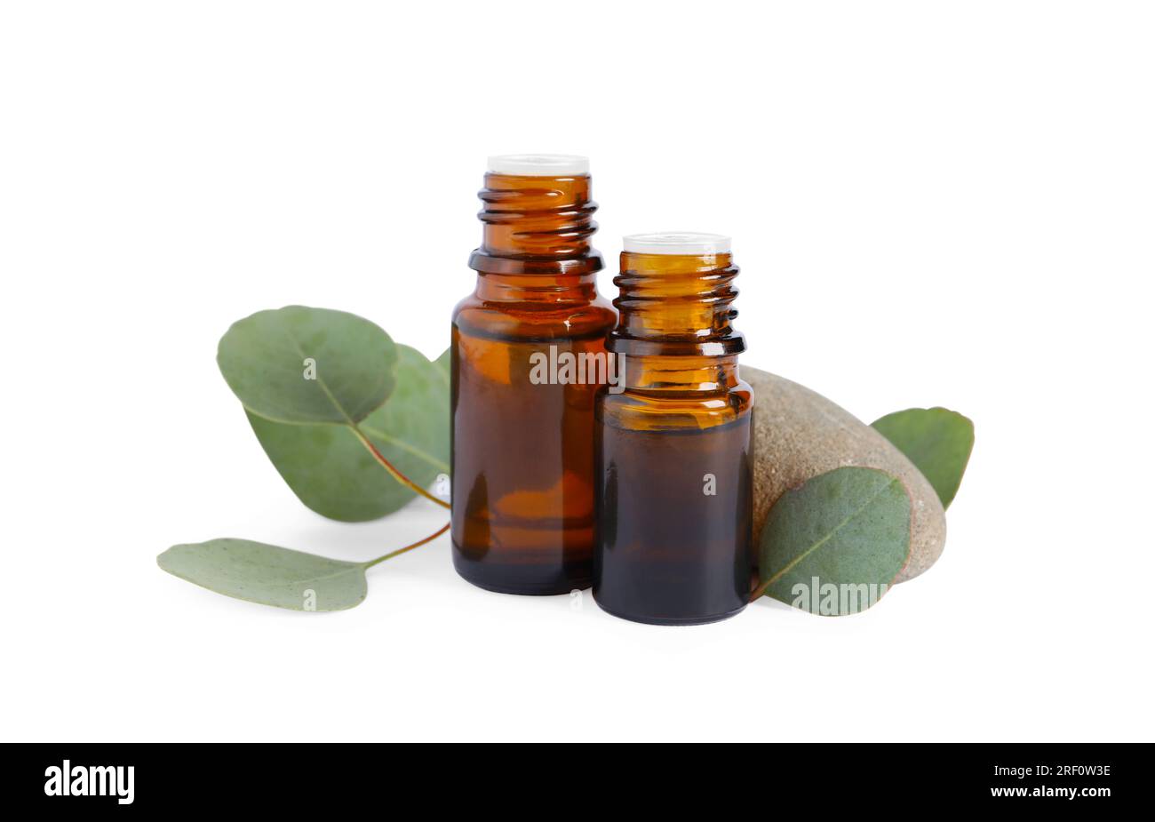 Bottles of eucalyptus essential oil, stone and plant branches on white ...