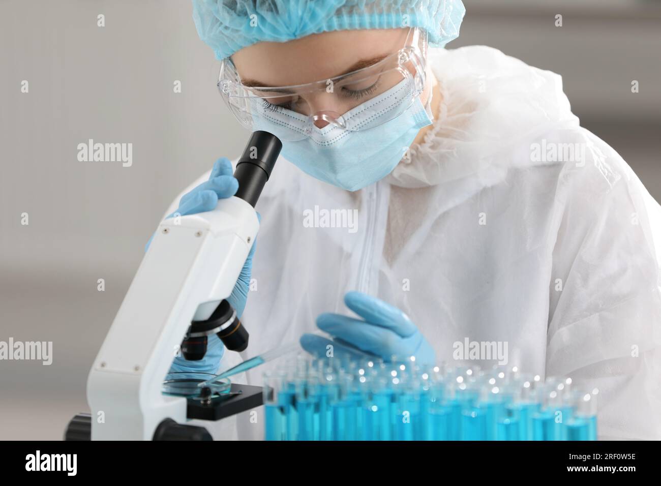 Young scientist dripping sample onto Petri dish while working with ...