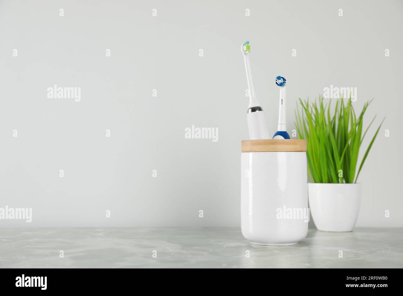 Electric toothbrushes in holder and green houseplant on light grey ...